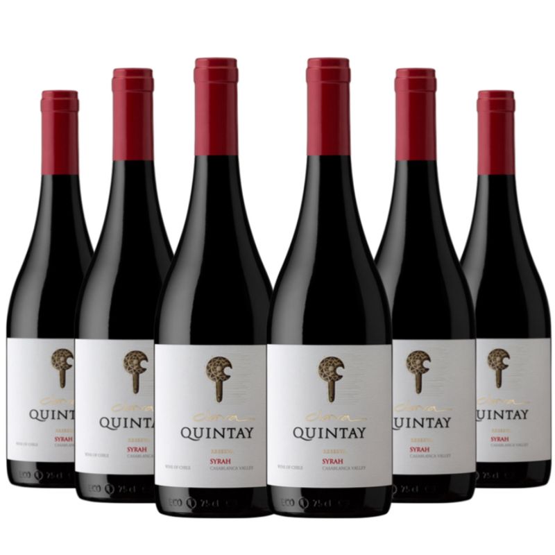 QUINTAY 6 Vinos Quintay Clava Syrah | falabella.com