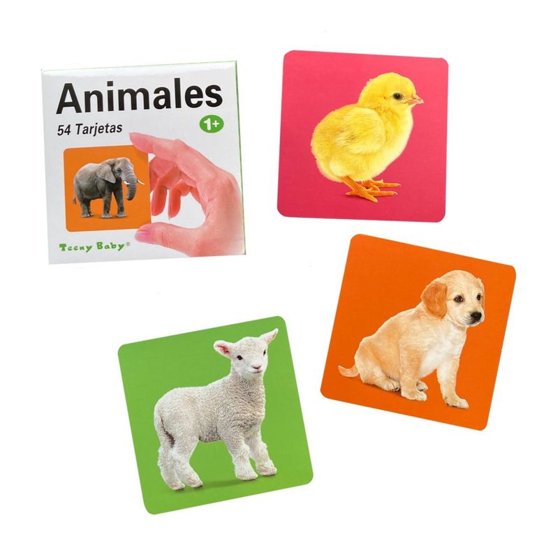 GENERICO Láminas tarjetas de aprendizaje - Animales | falabella.com