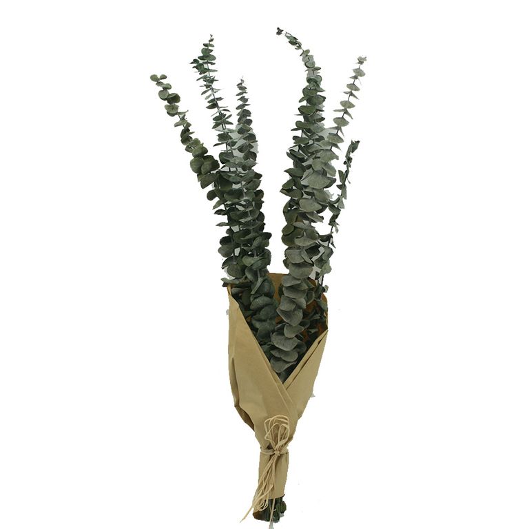 ANTICO HOME Ramo Flores Eucaliptus Natural Antico Home | falabella.com