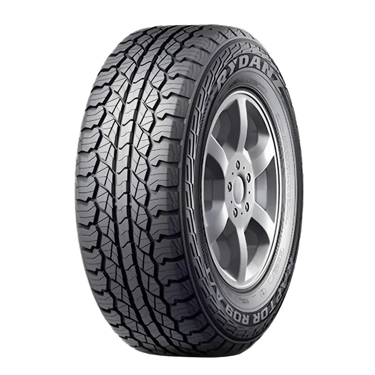GENERICO Neumático - 265/70R18 116H RAPTOR R09 Rydanz A/T CHN ...