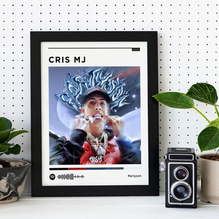 Cris MJ Partyson Visualizado | Sodimac - Falabella