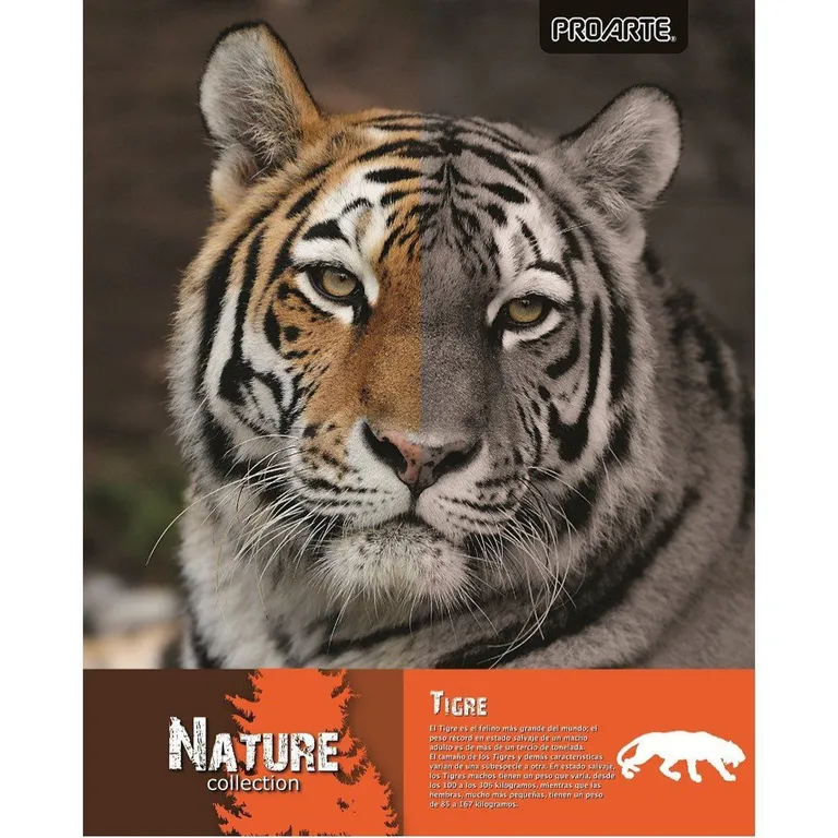 Cuaderno Univ Proarte Ted Ed Nature 100 Hj 7Mm | Sodimac Chile