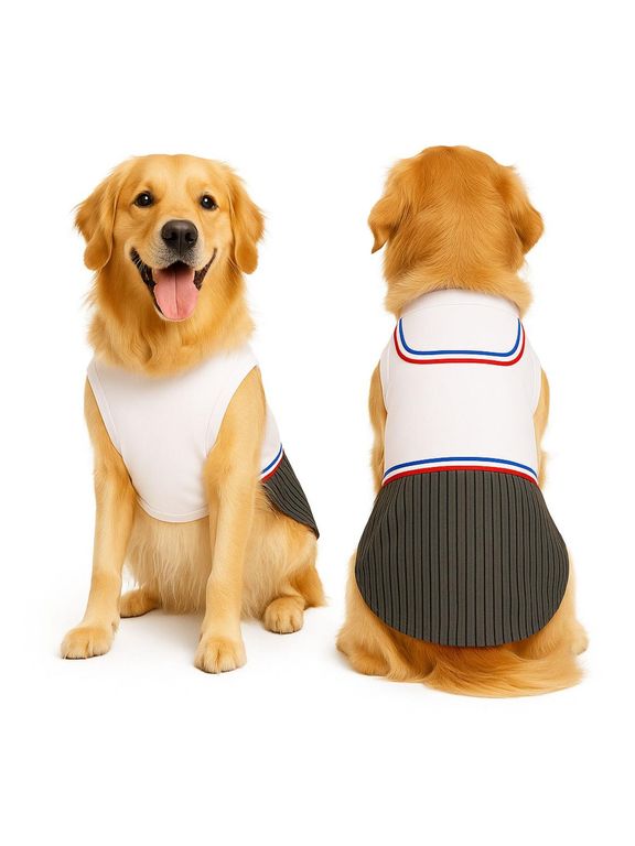 GENERICO Traje de Huaso Chileno Talla 6XL Para Perros Grandes ...