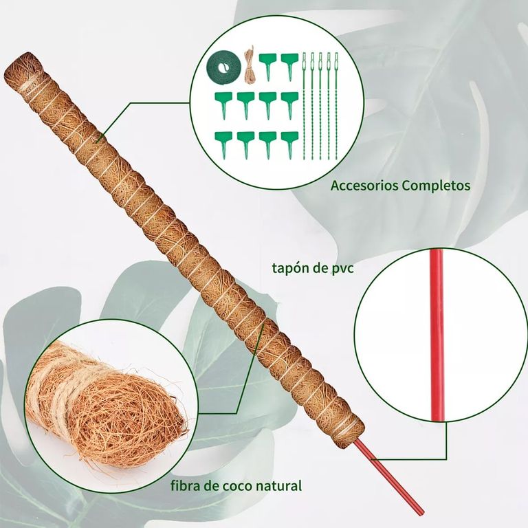 MUNDO MAGIA 21 Kits Tutor De Musgo Soporte Para Plantas 100cm/fibra Coco | falabella.com
