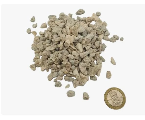 Conchuela Decorativa Formato 1 Kg | Sodimac Chile