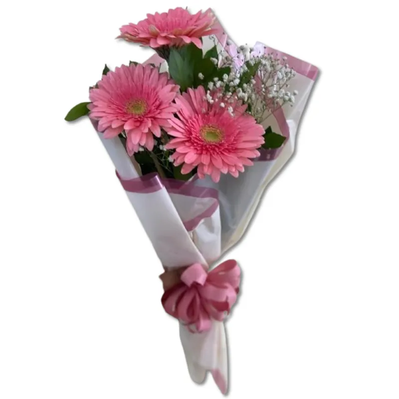 GENERICO Ramo Alargado de 3 Gerberas Rosadas | falabella.com