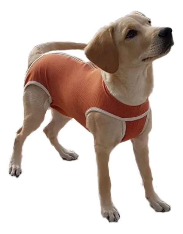 KIMBA Body Cobre Original Para Perros Y Gatos De 7.5 Kg A 10 Kg ...