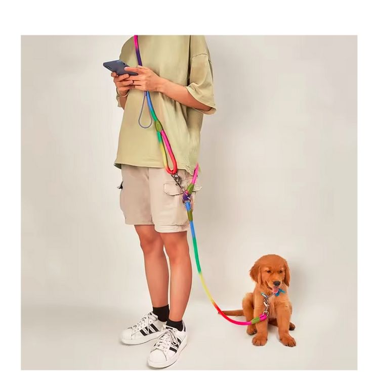 Correa para pasear o correr con perrito 240cm COLORES | Sodimac Chile