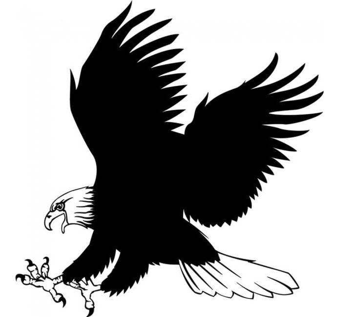 Decomural Bald Eagle Bird - Animals WS-17620 | Sodimac Chile