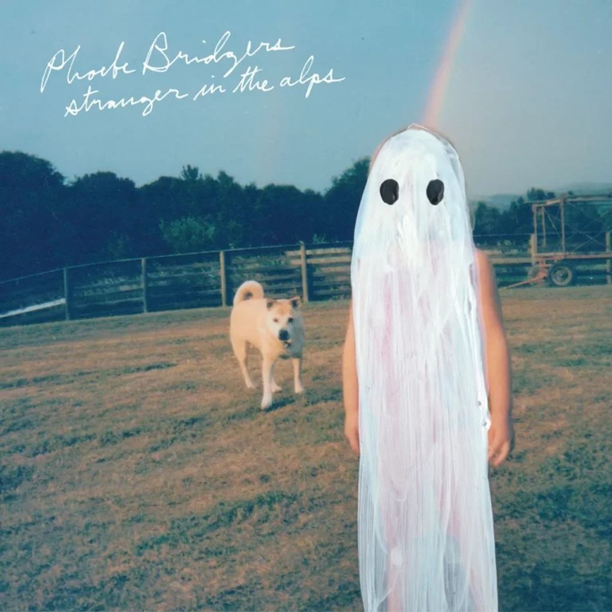 GENERICO Phoebe Bridgers - Stranger In The Alps - Vinilo Simple ...