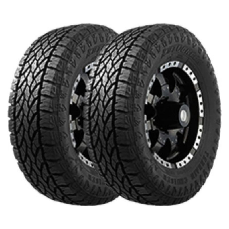 Generico Set 2 - 215/70R16 Autogreen Tc9 At 100T Cn | falabella.com