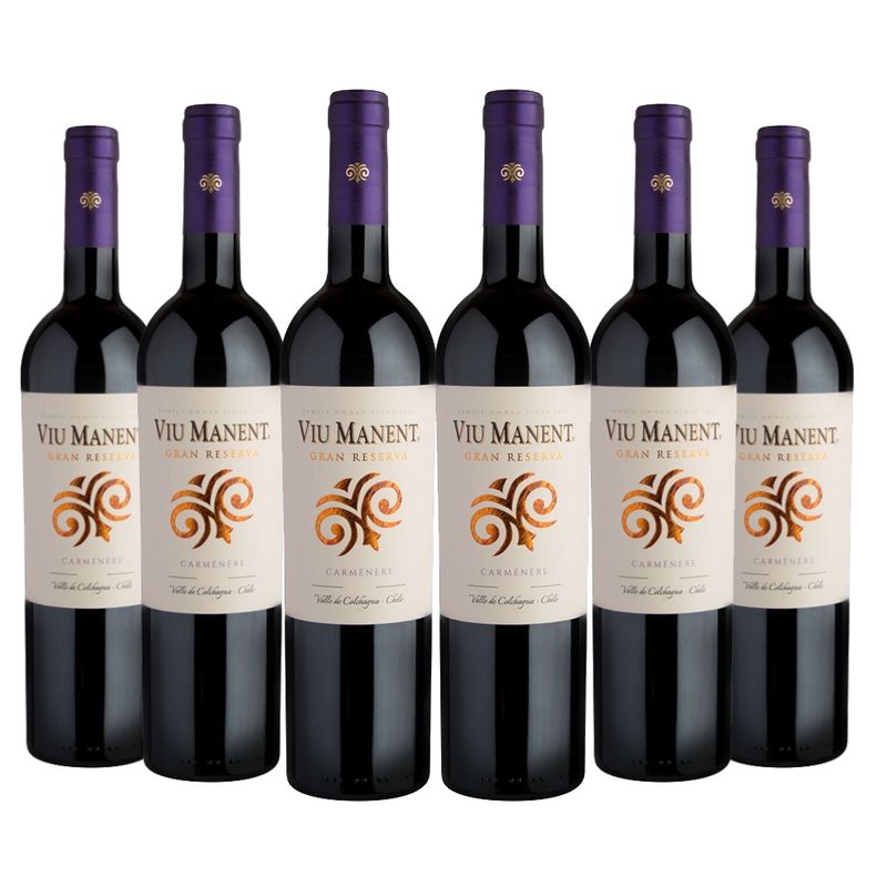 VIU MANENT 6 Vinos Viu Manent Gran Reserva Carmenere | falabella.com