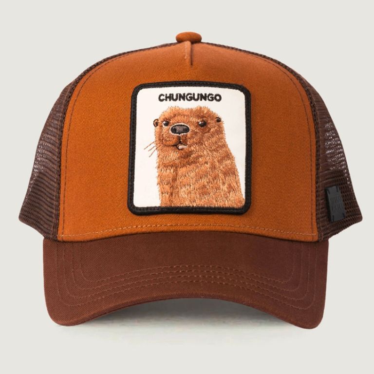 WILD LAMA Wild Lama Jockey Unisex | falabella.com