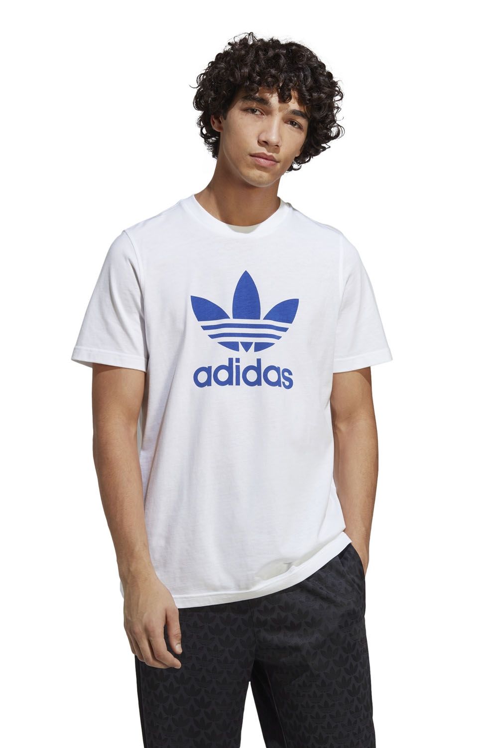ADIDAS ORIGINALS Adidas Originals Polera Manga Corta Algodón Hombre ...