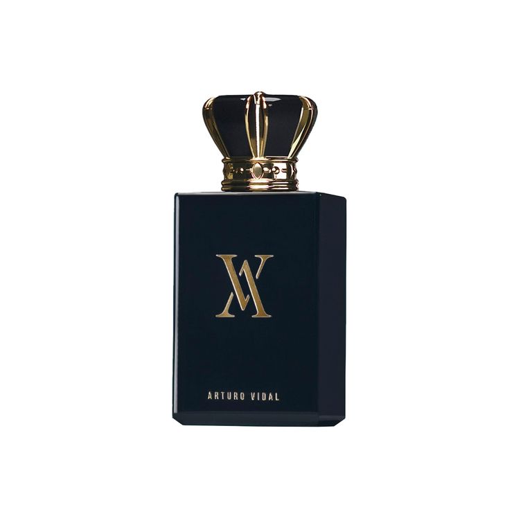 💆‍♀️ Perfume Hombre Arturo Vidal My Kingdom EDP 100ml - Oferta ...