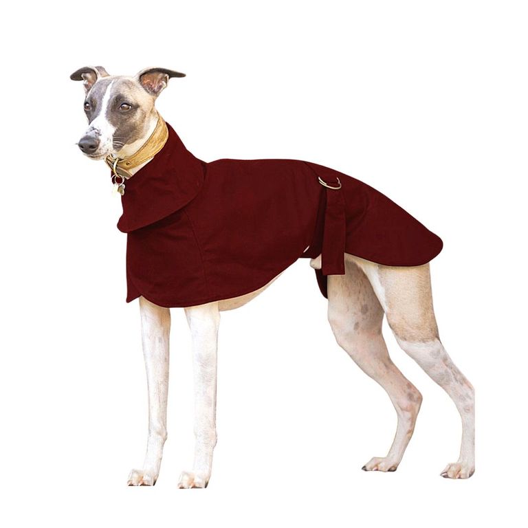 Capa para perro estilo gaban XL Vino Tinto GENERICO | falabella.com