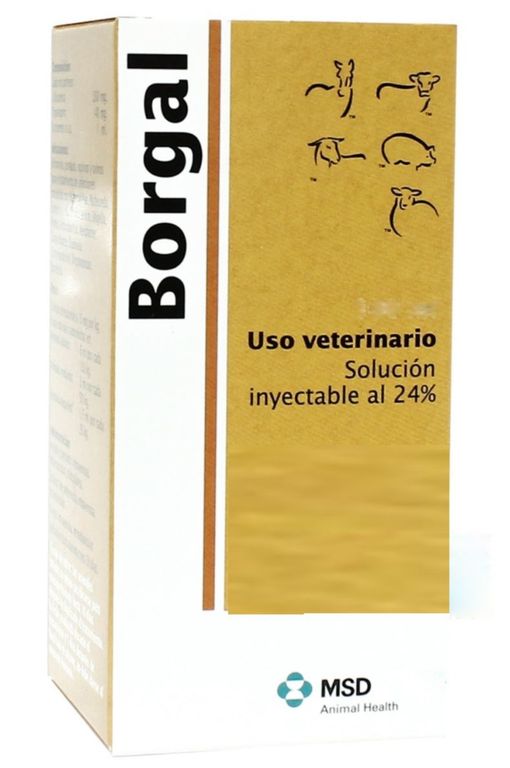 Borgal 24% Solucion Inyectable x 50ml MSD | falabella.com