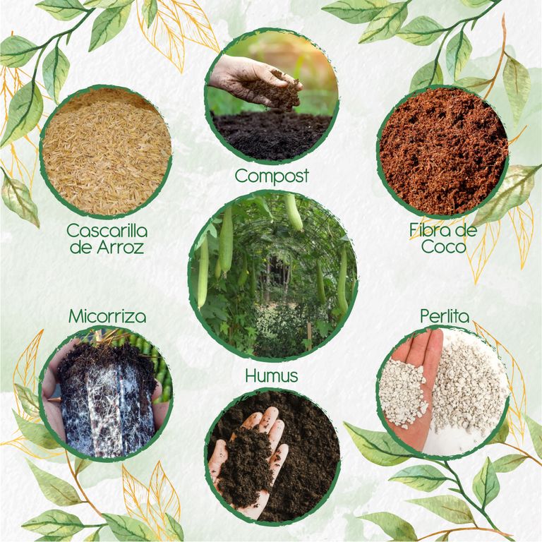 Kit De Acondicionadores De Suelos Para Estropajo Común GENERICO ...