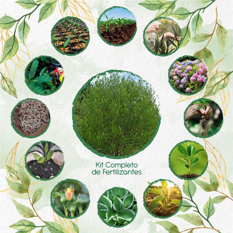 Kit Completo De Fertilizantes Para Hayuelo GENERICO | Falabella Colombia