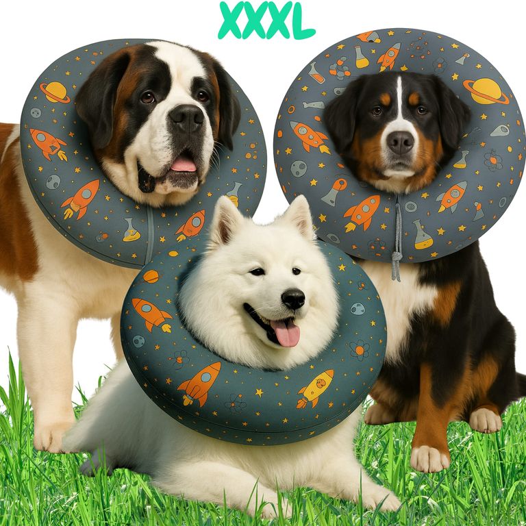 Collar Protector Postoperatorio Tipo Donut Perro y Gato XXXL GENERICO ...