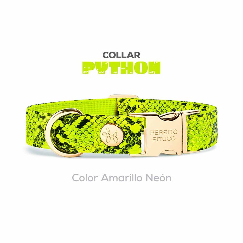 COLLAR PERRITO PITUCO PYTHON AMARILLO NEÓN TALLA XL PERRITO PITUCO ...