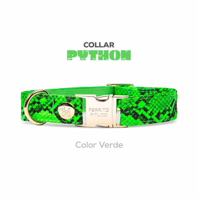 COLLAR PERRITO PITUCO PYTHON VERDE TALLA S PERRITO PITUCO | falabella.com