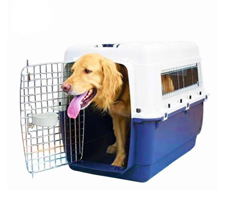 Kennel Jaula Transportadora De Perros L70 | Sodimac Perú