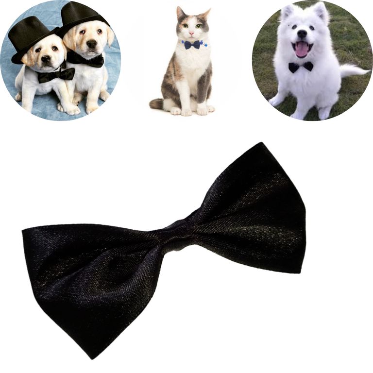 CORBATA MICHI CHICO-M NEGRO GENERICO | falabella.com