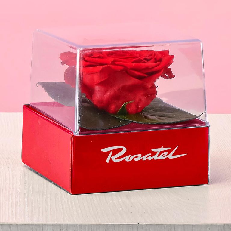 Rosa Preservada en Cubo ROSATEL | falabella.com