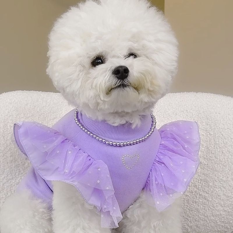ROPITA PERRRITO PITUCO SWEATER PERLITAS LILA TALLA 2 PERRITO PITUCO ...
