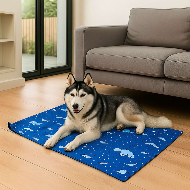 Manta Gel Refrescante Para Mascota - Talla L - (Azul) GENERICO ...