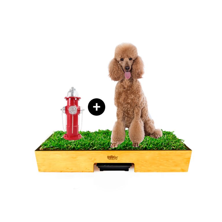 Sanitario de Pasto Natural con Drenaje + Hidrante para Perros Macho ...