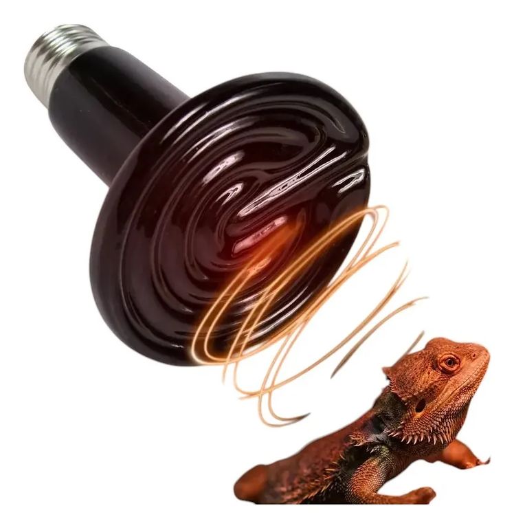 FOCO CERÁMICO DE CALOR 50W E27 REPTILES PARA INCUBADORA GENERICO ...