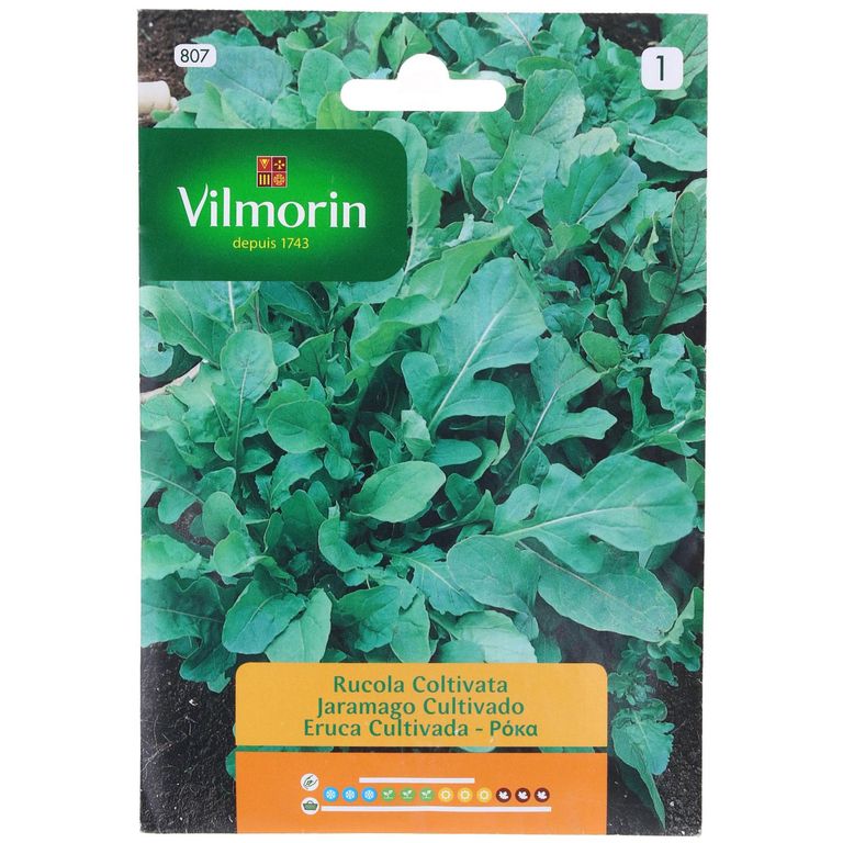 Semilla Rúcula 10 gr Sachet | Sodimac Chile