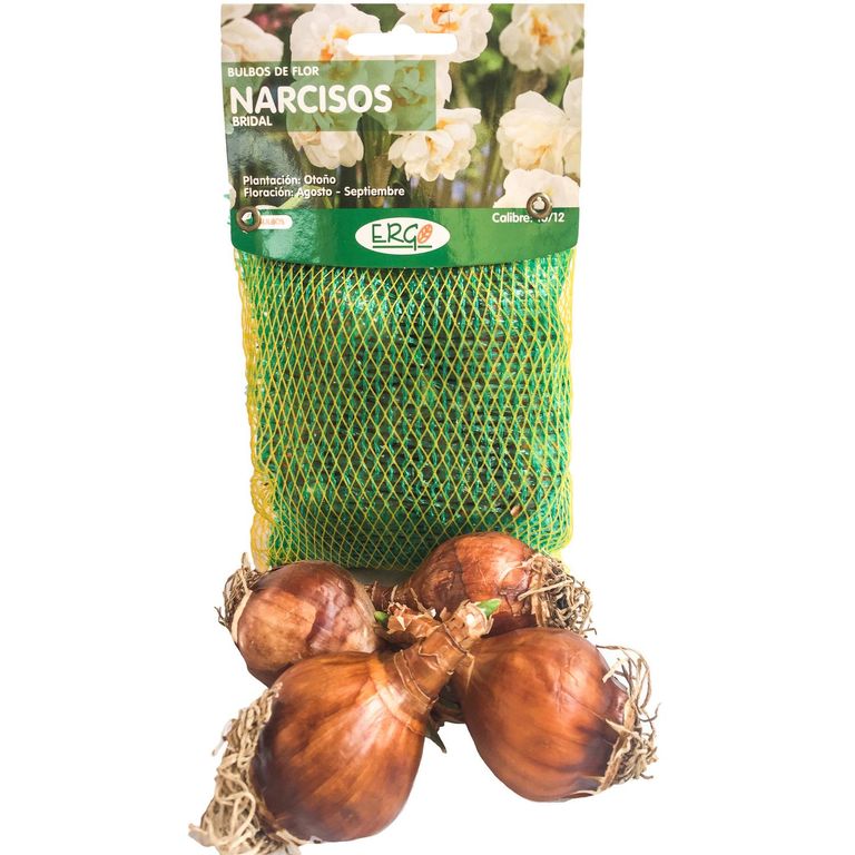 Bulbo narciso surtido 4 unidades | Sodimac - Falabella