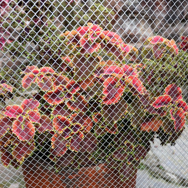 Malla Zaranda 5.08mm X 5.08mm 5 X 0.90m COLMALLAS | falabella.com