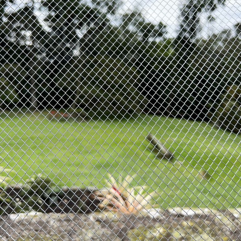 Malla Zaranda 4.23mm X 4.23mm 5 X 0.90m COLMALLAS | falabella.com