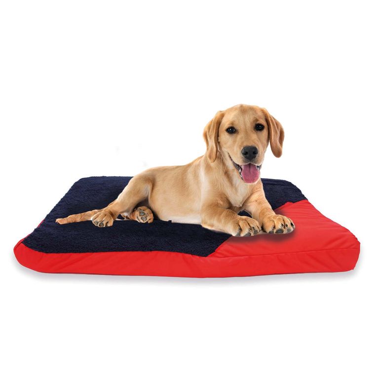 Colchón Para Perro Super Ortopédico 66x45x5cm Mediano Rojo Petizoos ...
