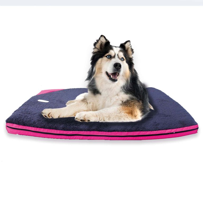 Colchón Para Perro Super Ortopédico 98X75X5Cm Extra Grande Fucsia ...