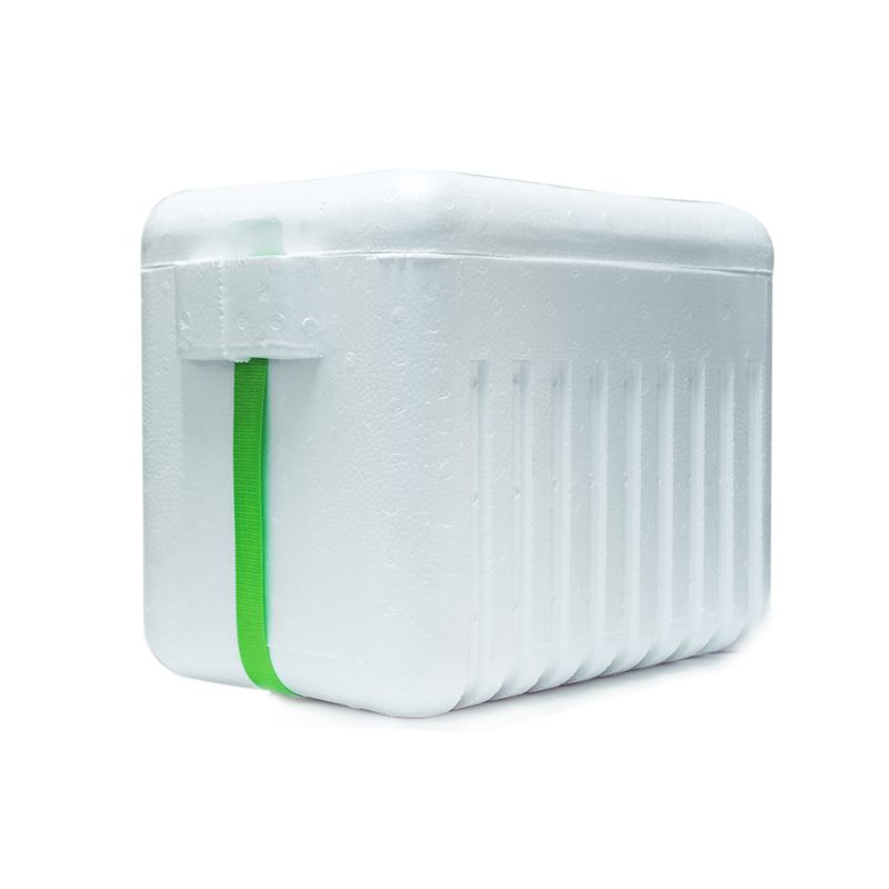 Nevera Moldeada En Polietileno Expandible (Icopor) De 46 Lts De ...