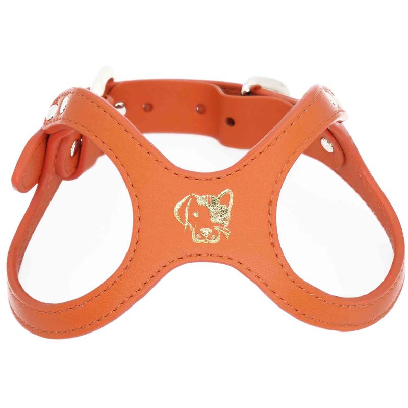Pechera Para Perro Cuero Sintético Mini Naranja Petmasters GENERICO ...
