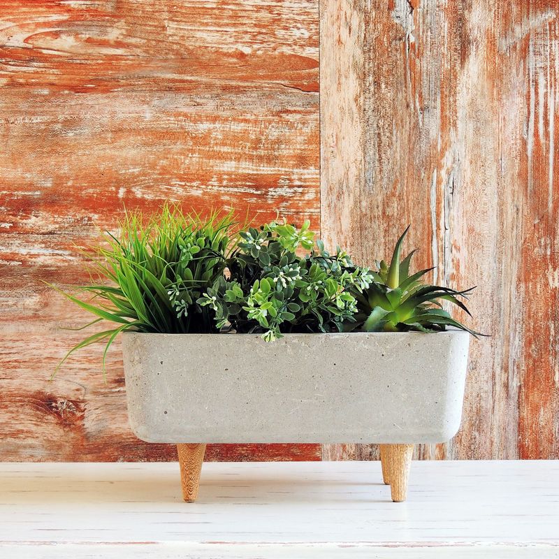 Matera Cemento Terrario Rectangular Con Patas 30x15cm Gris | falabella.com