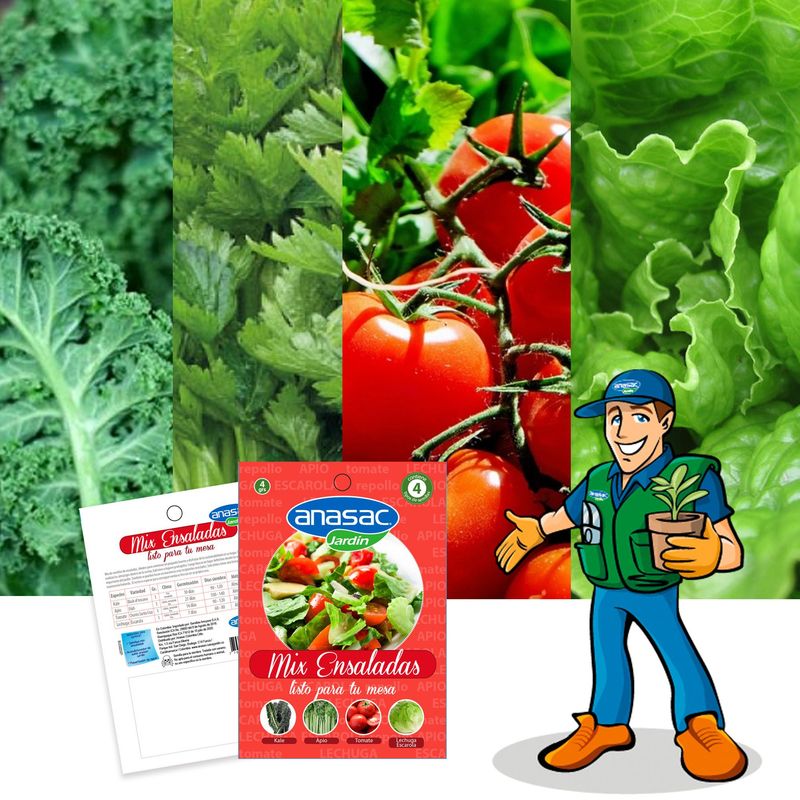 Semillas Mix Ensaladas 4 Gramos ANASAC | falabella.com