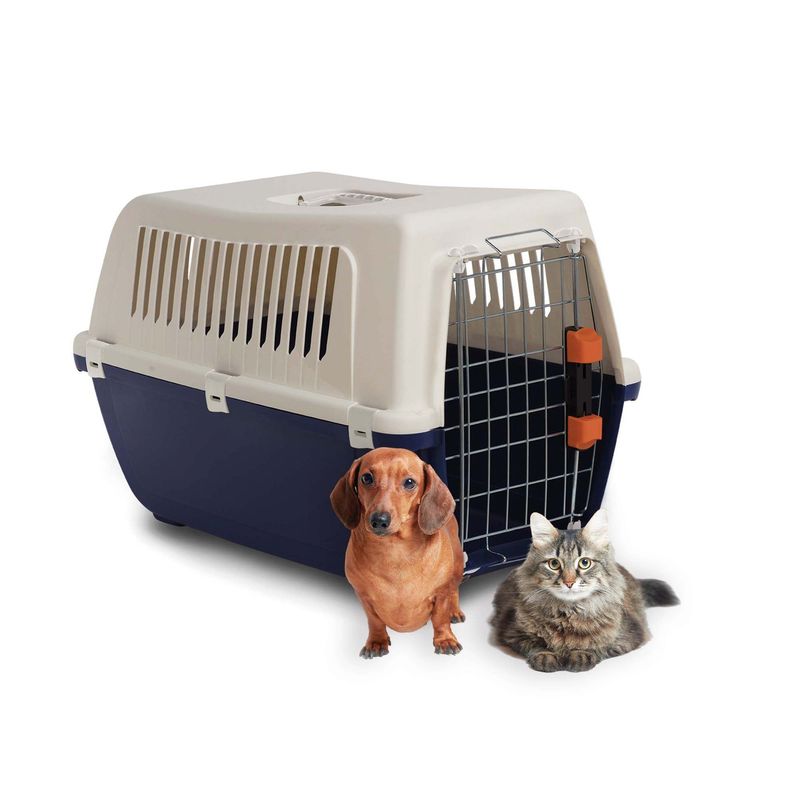 Guacal Transportino 54x37x36cm Mediano Surtido PETIZOOS | falabella.com