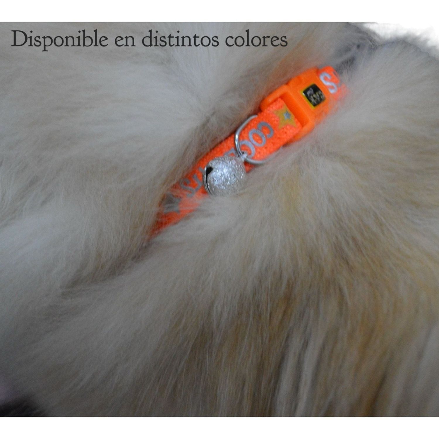 Collar para gato cool cats naranja colmascotas - Homecenter.com.co