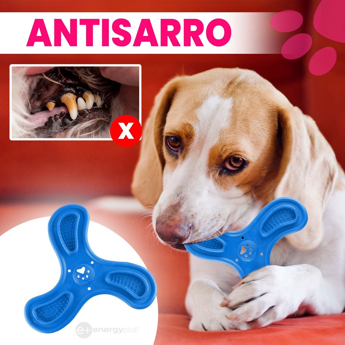 Boomerang Goma Perros Resistente para Masticar y Jugar Azul ...