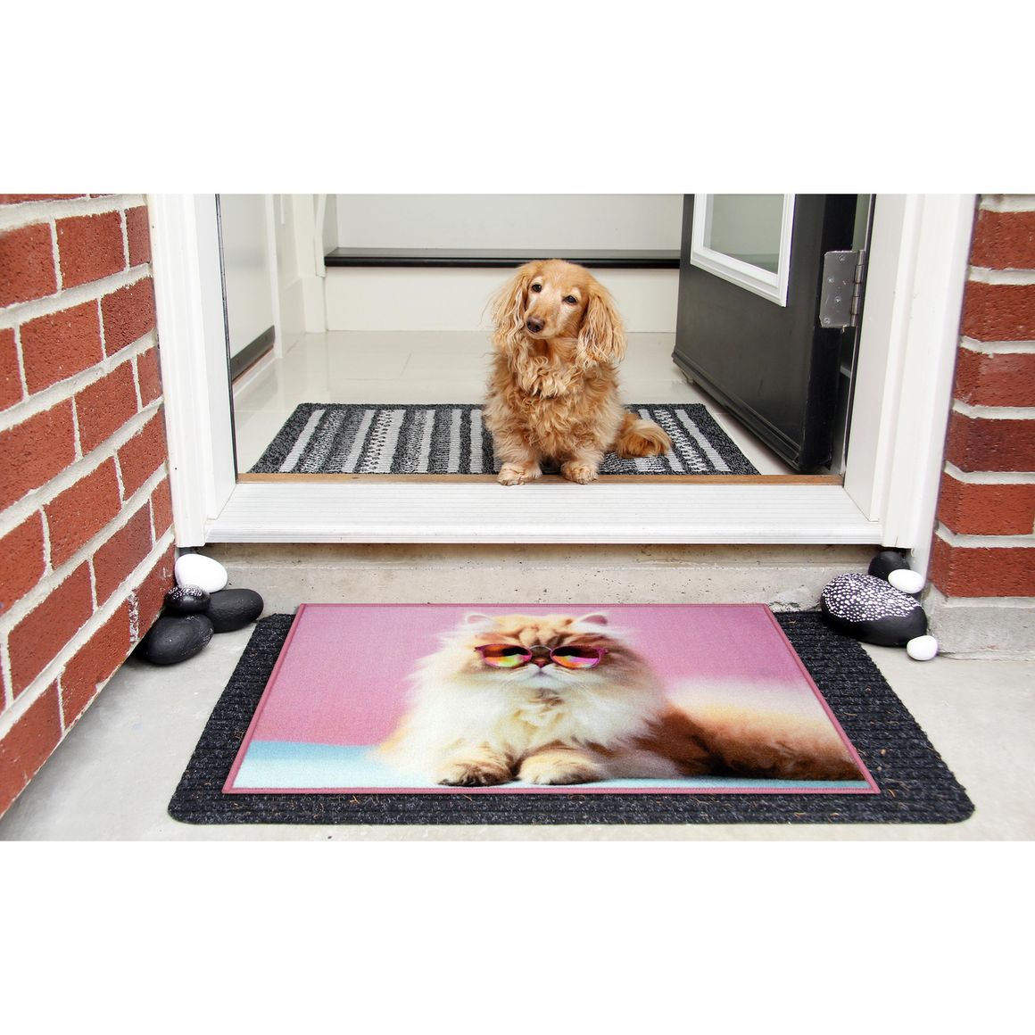 Tapete Gato Glass 50x80 - Homecenter.com.co