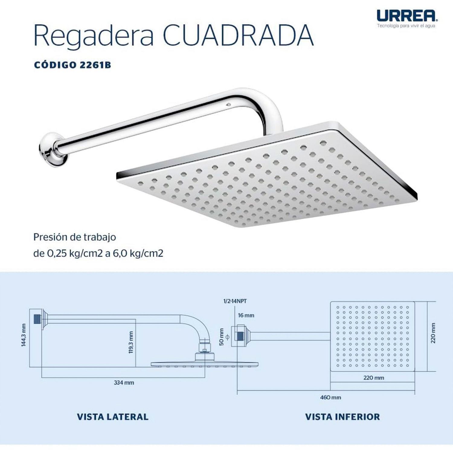 Regadera de plato cuadrada de 22 cm - Sodimac.com.mx