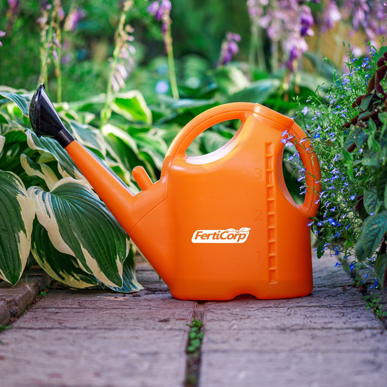 Regadera Para Jardineria Comprar REGADERAS Para PLANTAS Vintage