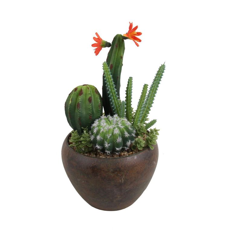 Suculenta con Base 28cm | Sodimac Falabella